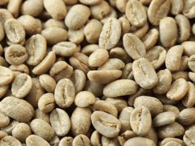 Café Verde ¿Qué es? ¿Qué Beneficios tiene? ¿Cómo tomarlo?