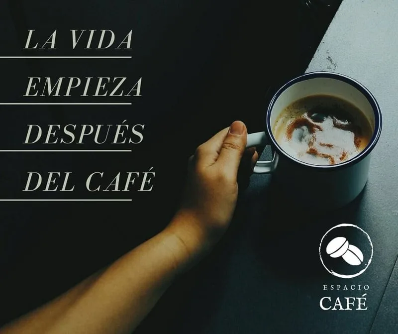 Las 21 Mejores Fotos y Frases Buenos Días Con Café 2023